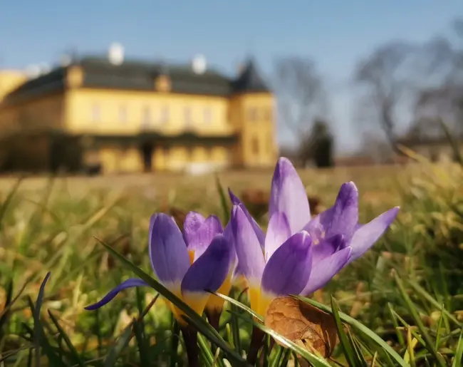 Castles and chateaux - Národní památkový ústav
