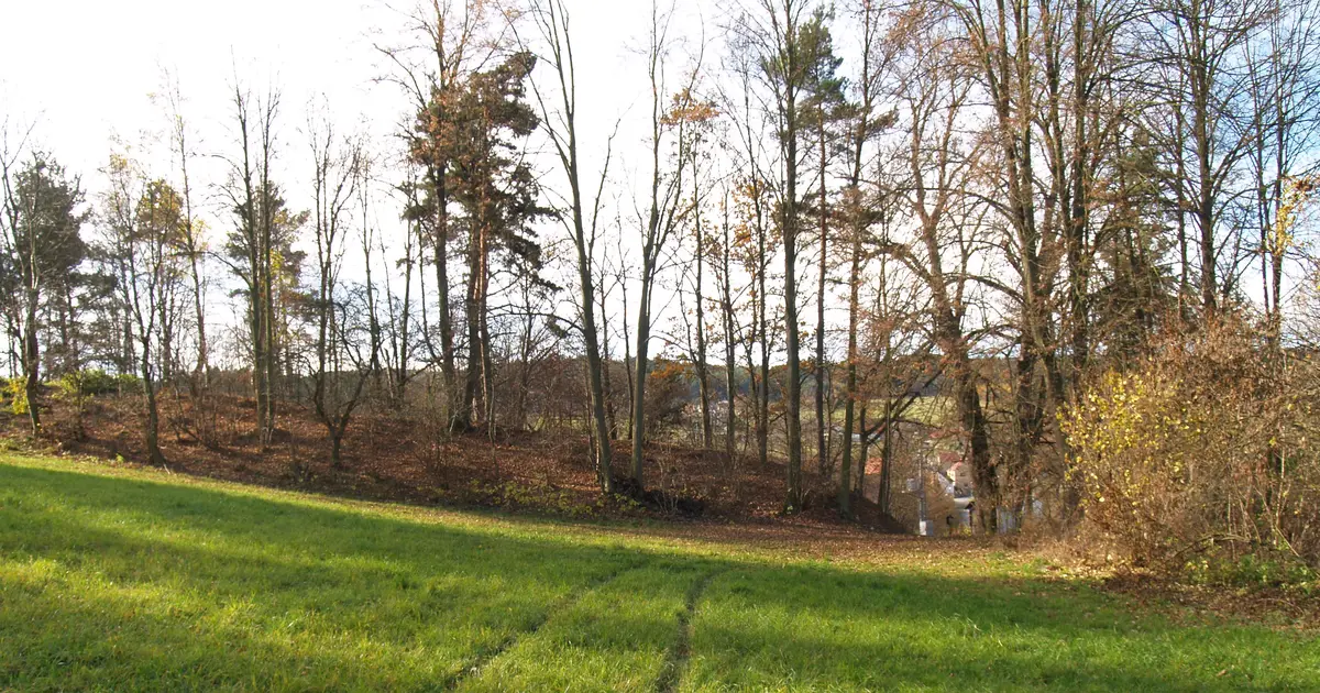 Archologické léto 2024 - keltské oppidum Třísov - ÚOP České Budějovice